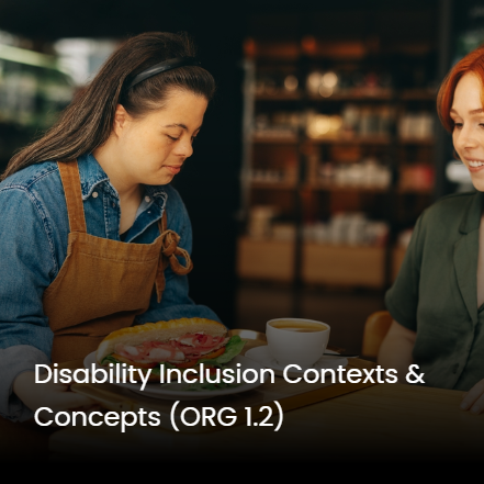 Strengthen Your Workplace: Disability Inclusion Modules - Volunteering ...